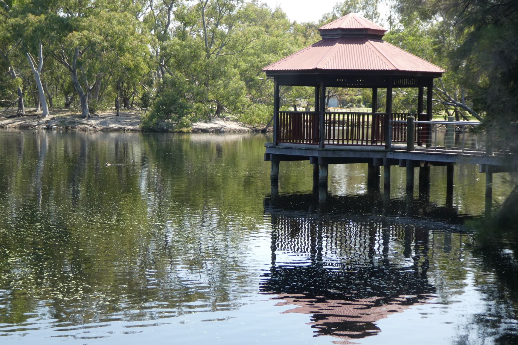 Paperbark Spring Kambarang Ginko Tomato Lake and Zoom Meeting ...