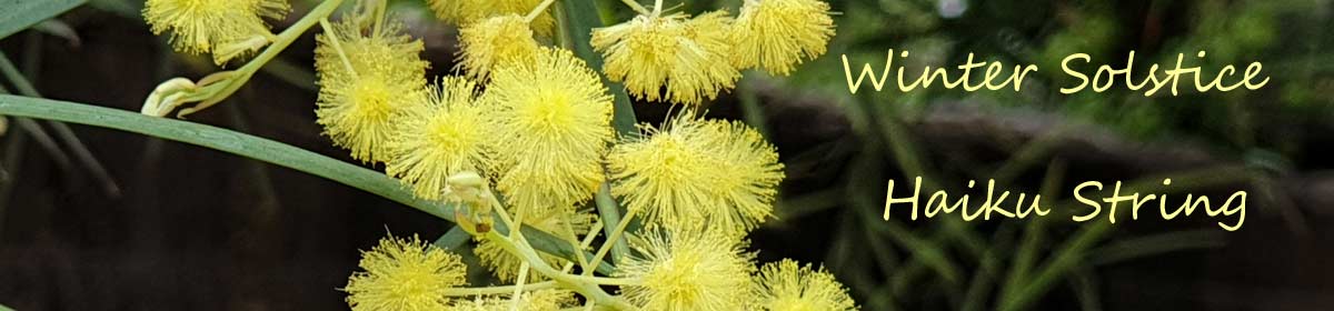 Preliminary Announcement: Winter Solstice Haiku String 2021 ...