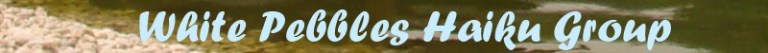 White Pebbles Haiku Group , Autumn 2025 - colleen keating