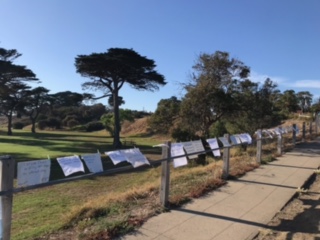 Portarlington Haiku Society celebrates International Haiku Poetry Day ...